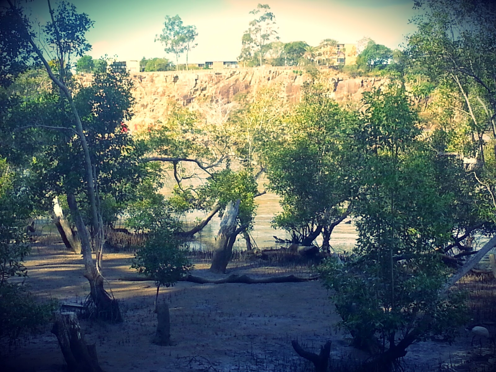 Data free Friday - Sam Searle